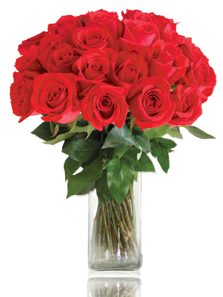 Comprar Rosas Rojas Online por San Valentín. | El Draguito Garden Center